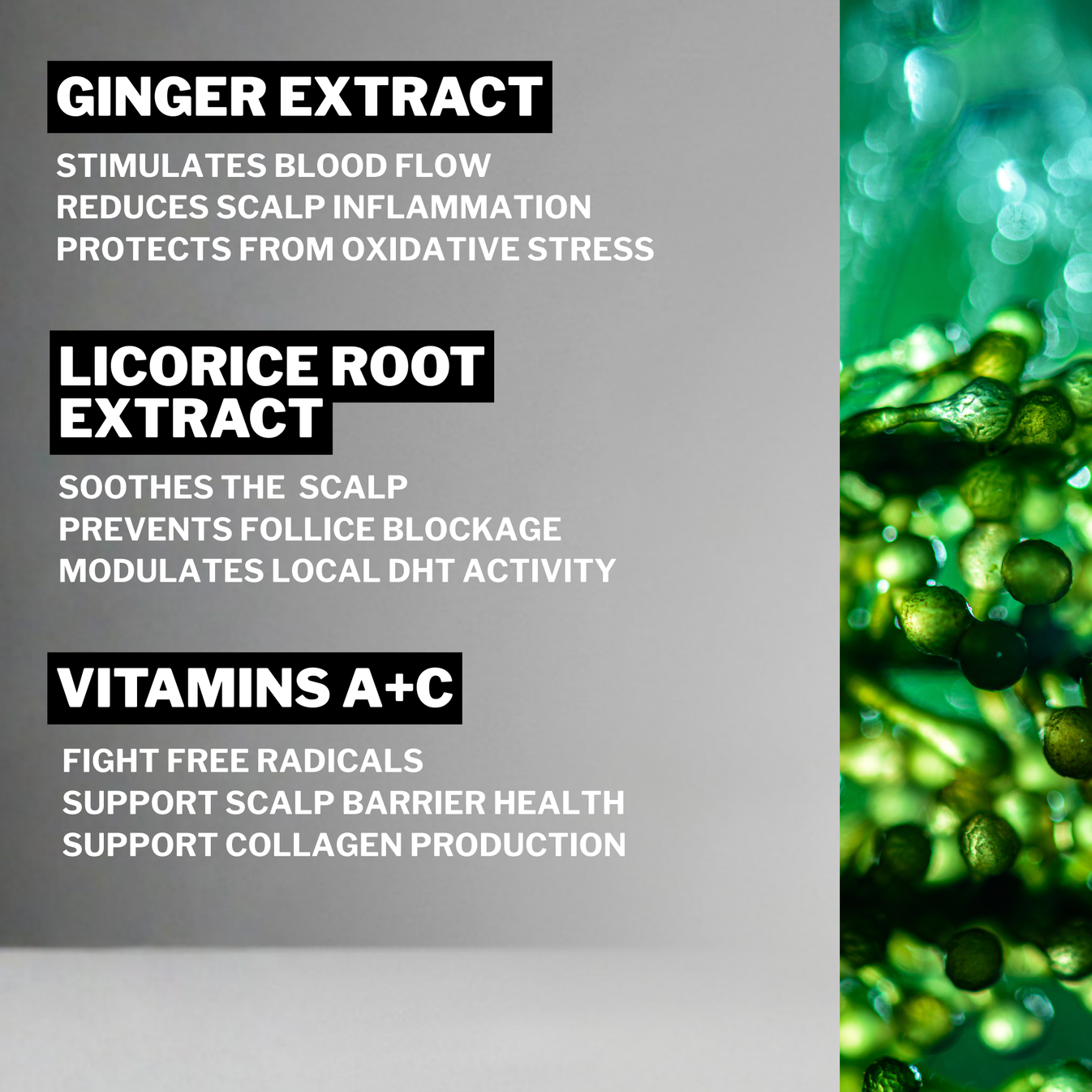 HAIR GROWTH BOOST SERUM (with Densidyl™) – ASLF Formulas