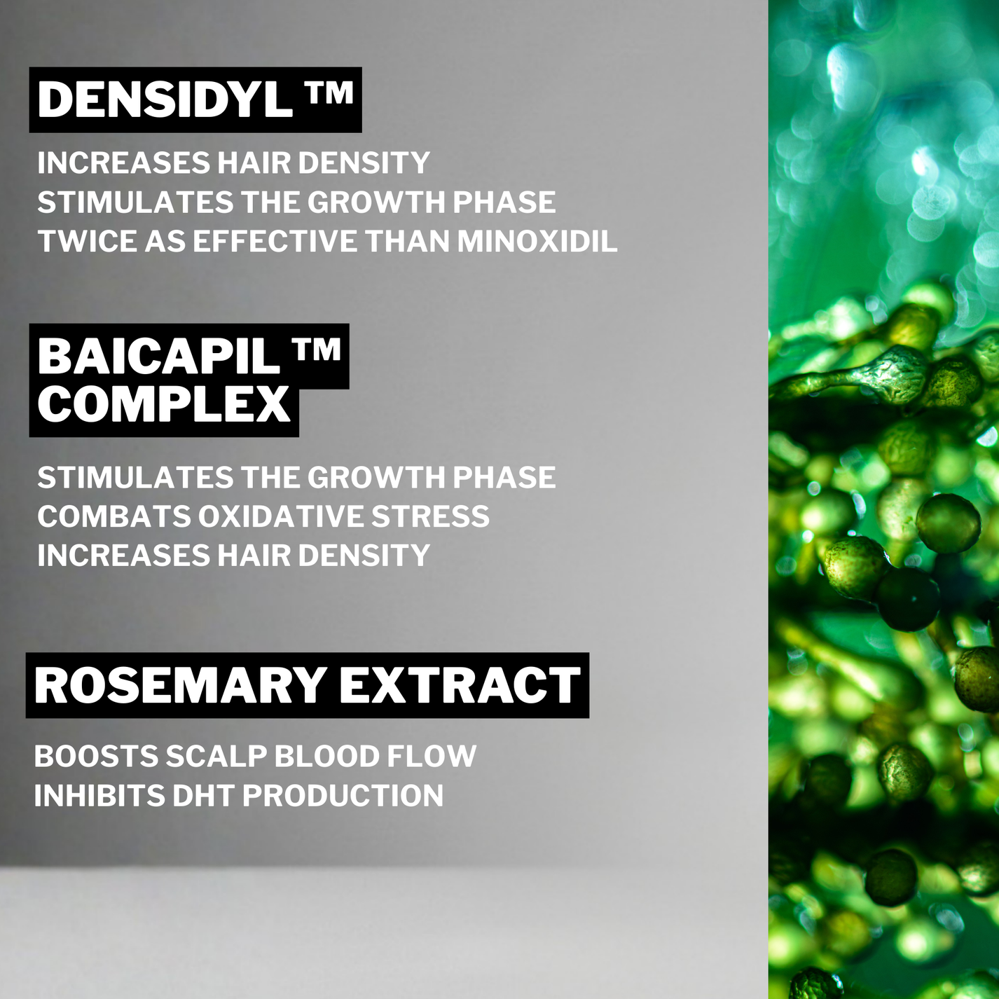 HAIR GROWTH BOOST SERUM (with Densidyl™) – ASLF Formulas