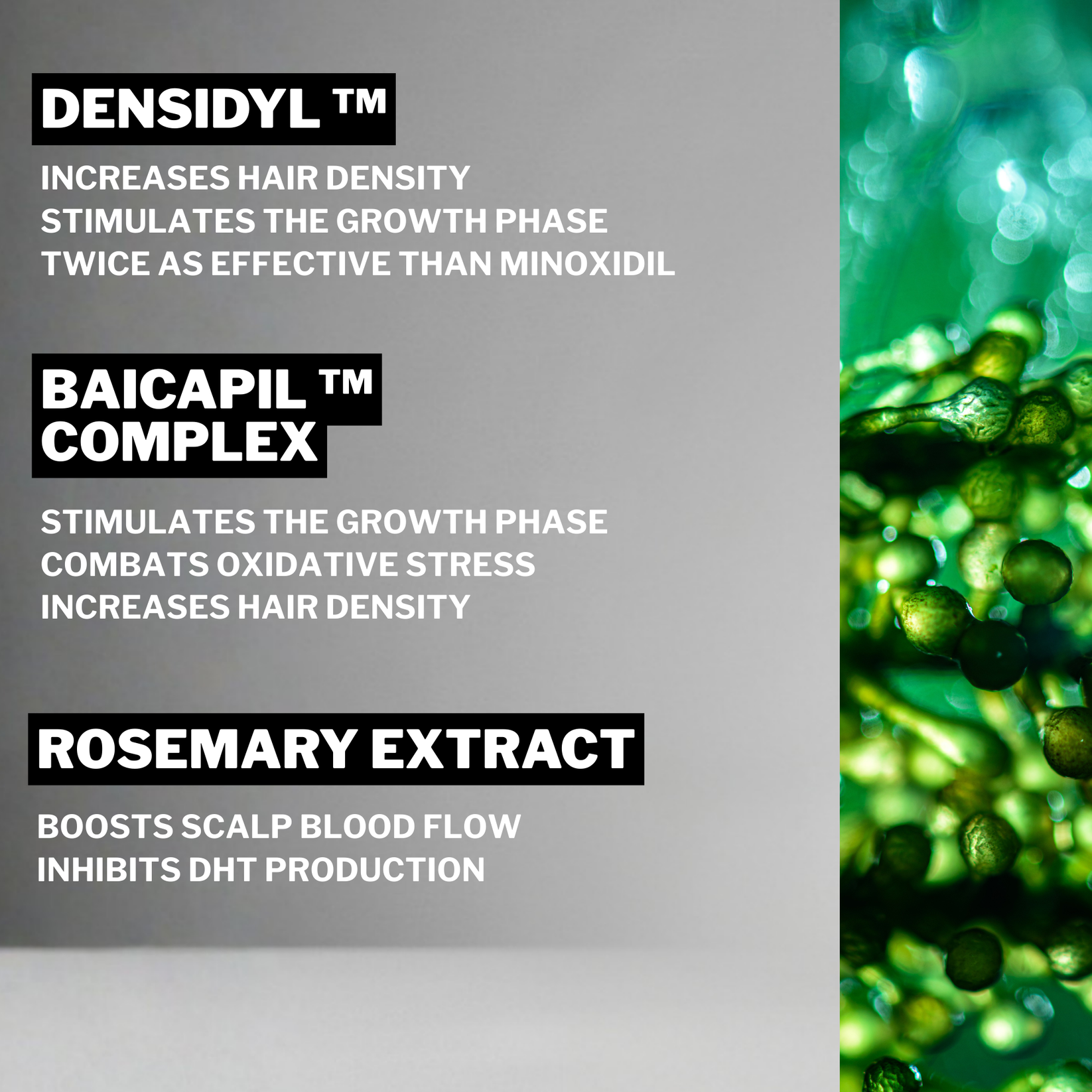HAIR GROWTH BOOST SERUM (with Densidyl™) – ASLF Formulas